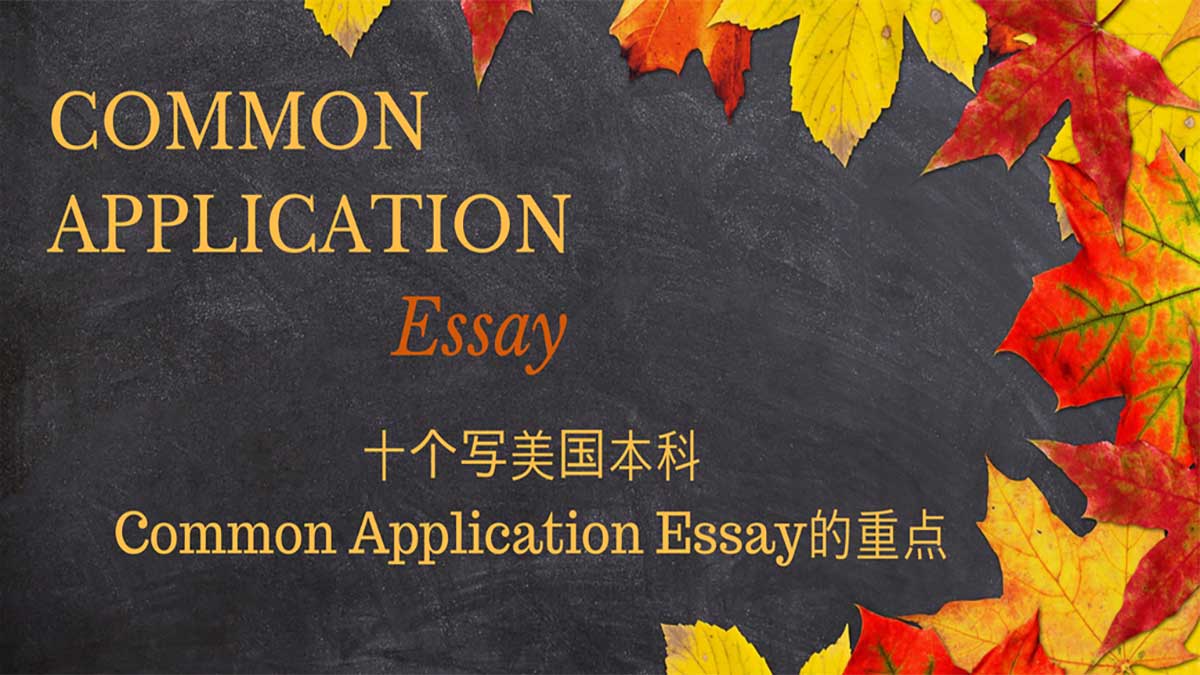 美国本科通用申请Common App系统Essay十大答题重点 - Wordvice Blog