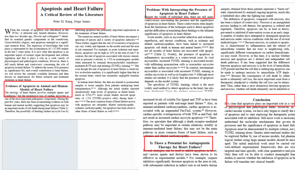 What Is A Literature Review In A Paper