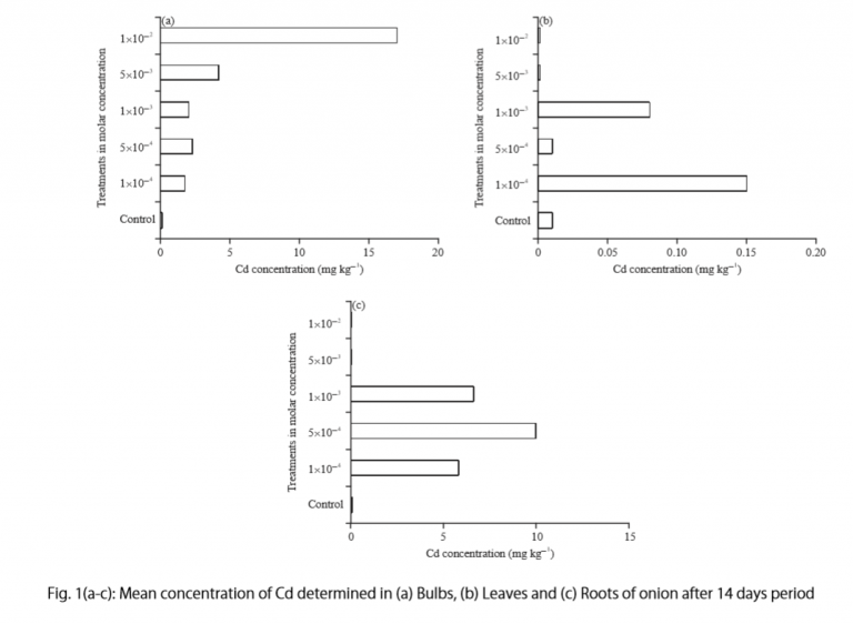 How to Write the Results/Findings Section in Research - Wordvice