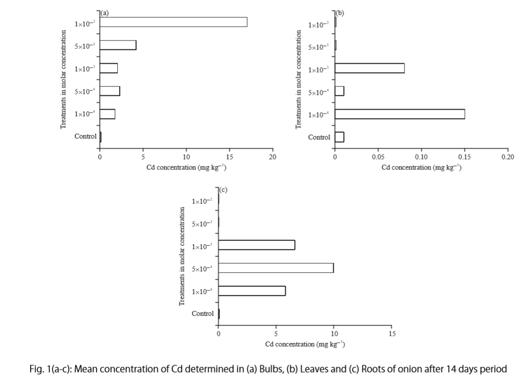 How to Write the Results/Findings Section in Research - Wordvice
